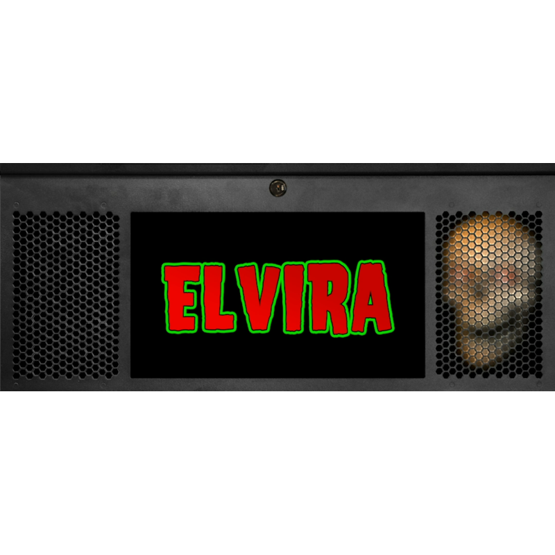 PINVISION