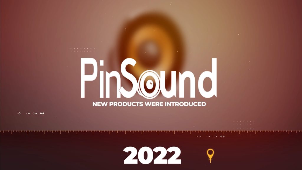 Our 2022 Retrospective - PinSound